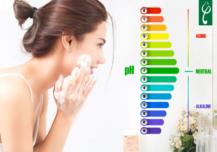 Độ pH phù hợp cho da dầu là bao nhiêu? Cách chọn chuẩn nhất