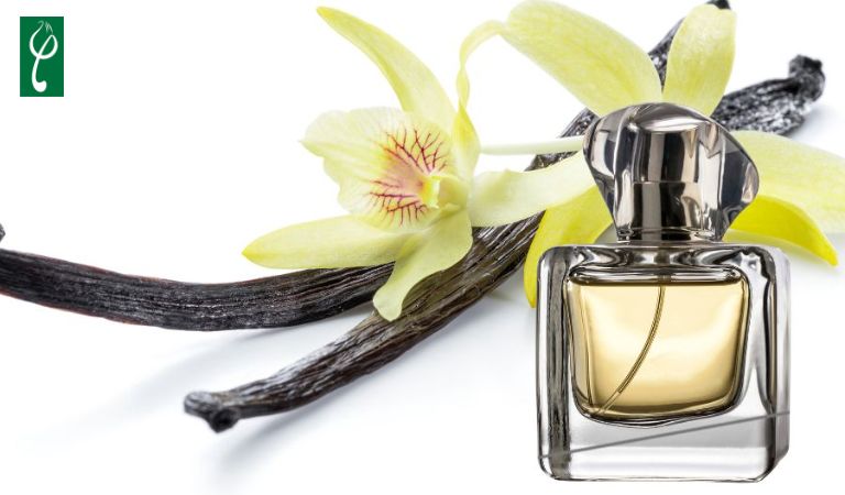 Gia công nước hoa hương vani hương thơm ngọt ngào, tinh tế